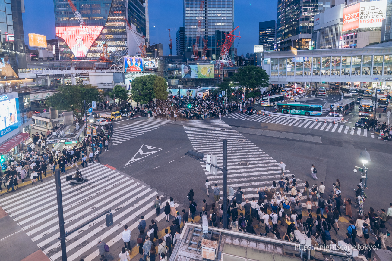 5 Most Beautiful Shibuya Scramble Crossing Photo Spots & View Points