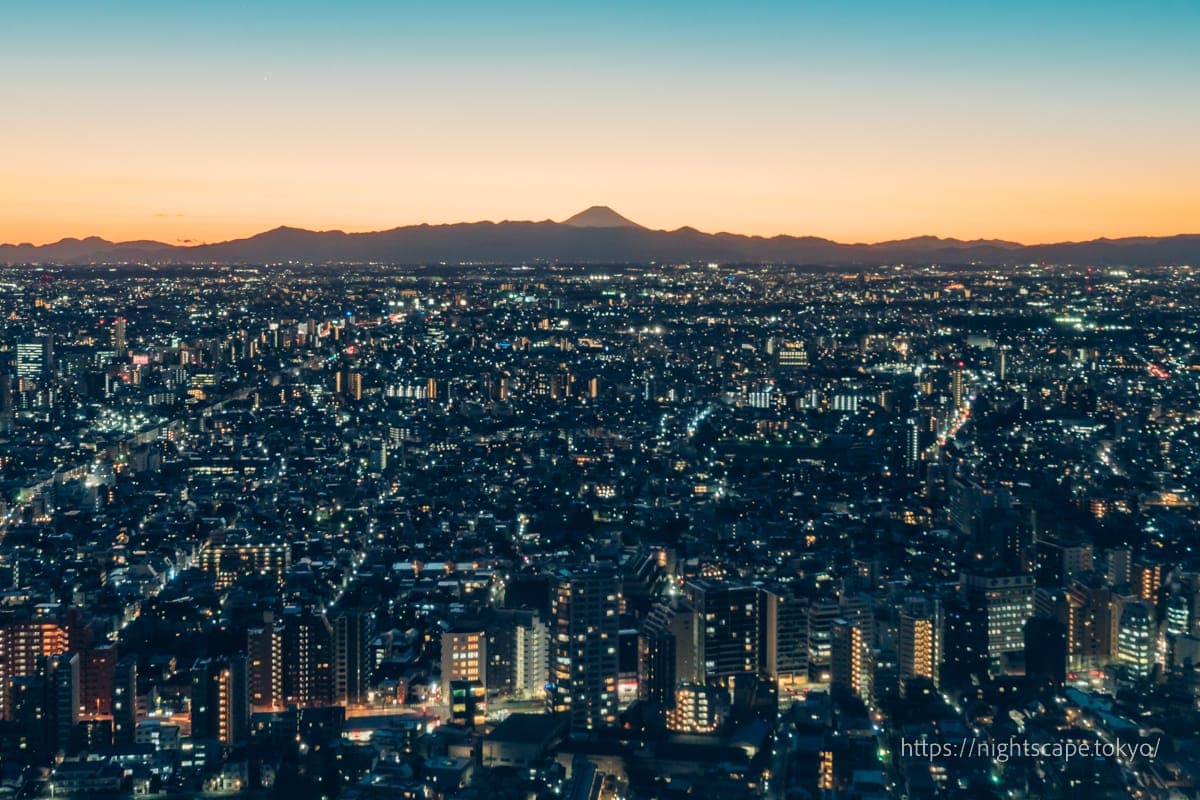 Tokyo Metropolitan Government Building South and North Observation ...