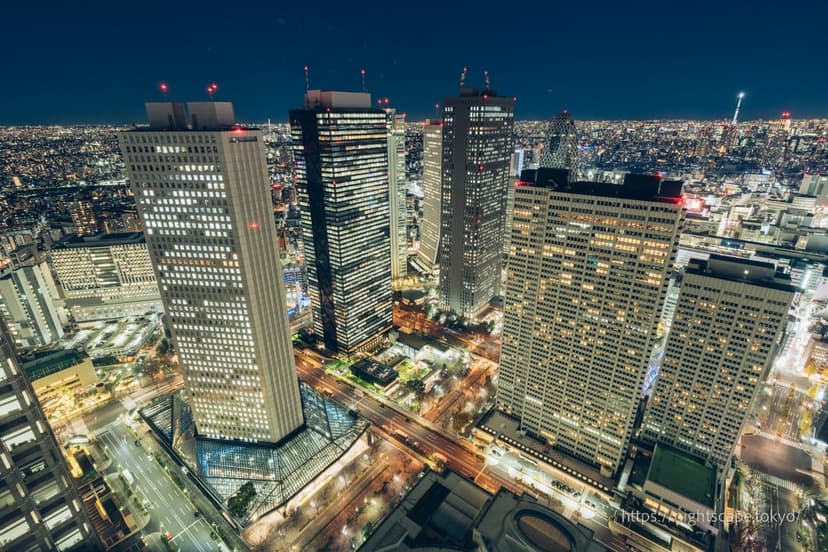 Tokyo Metropolitan Government Building South and North Observation ...