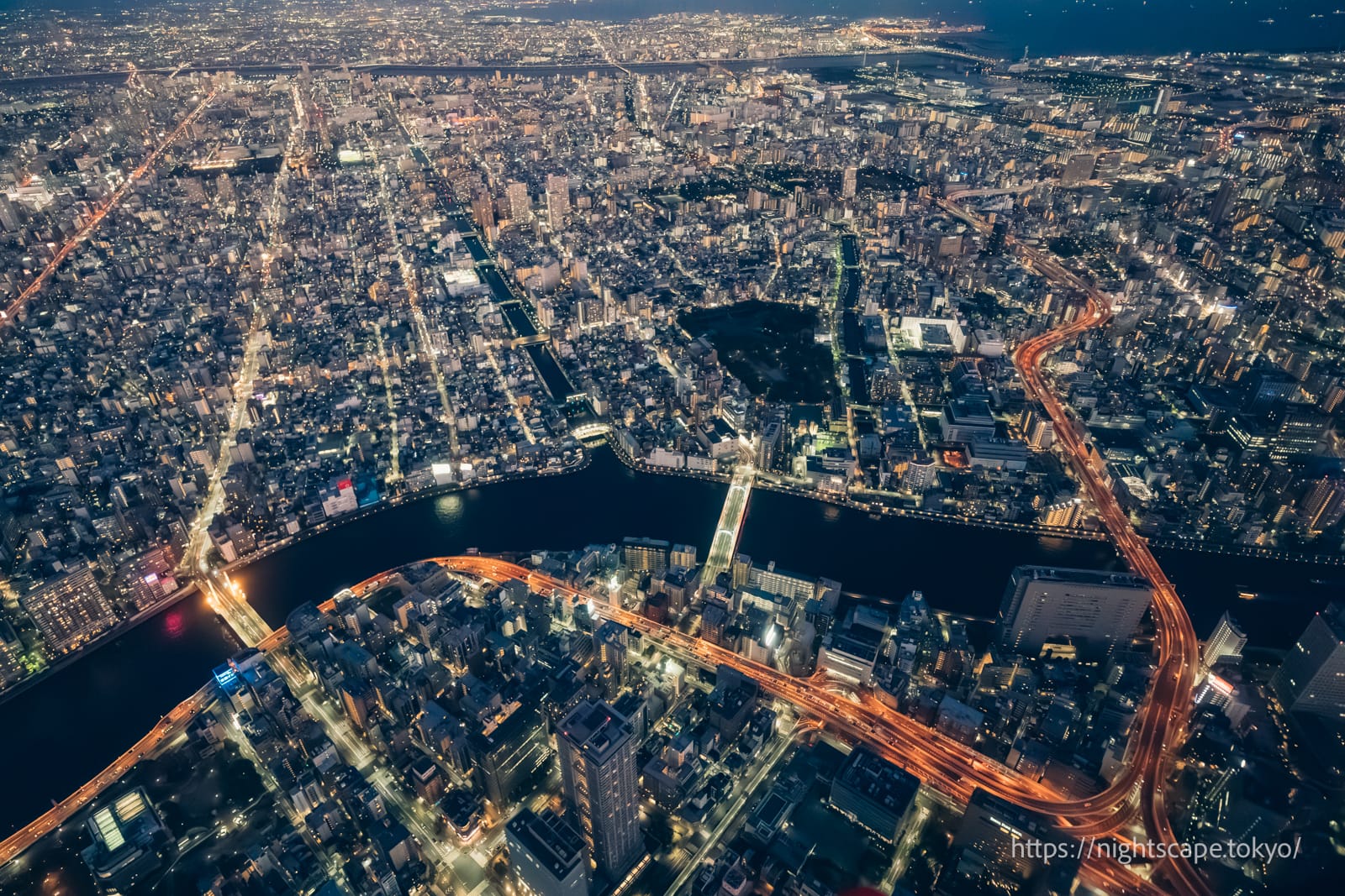 AIROS Skyview helicopter tour of the Tokyo nightscape.