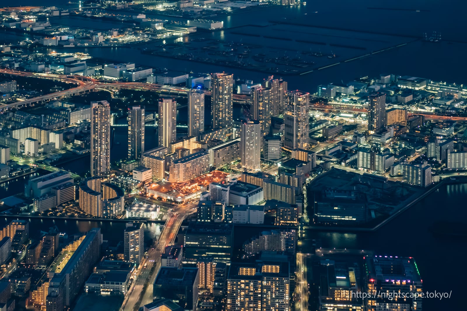 AIROS Skyview helicopter tour of the Tokyo nightscape.