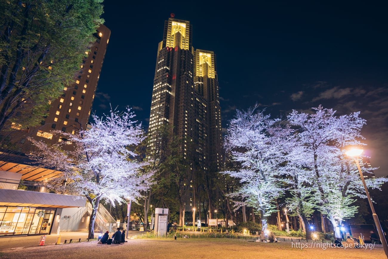 Find the best night view spots in Tokyo【Tokyo Night】