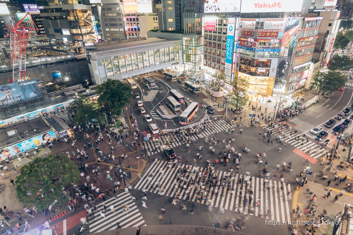 Shibuya Scramble Square Observation Deck, Shibuya Sky nightview info ...
